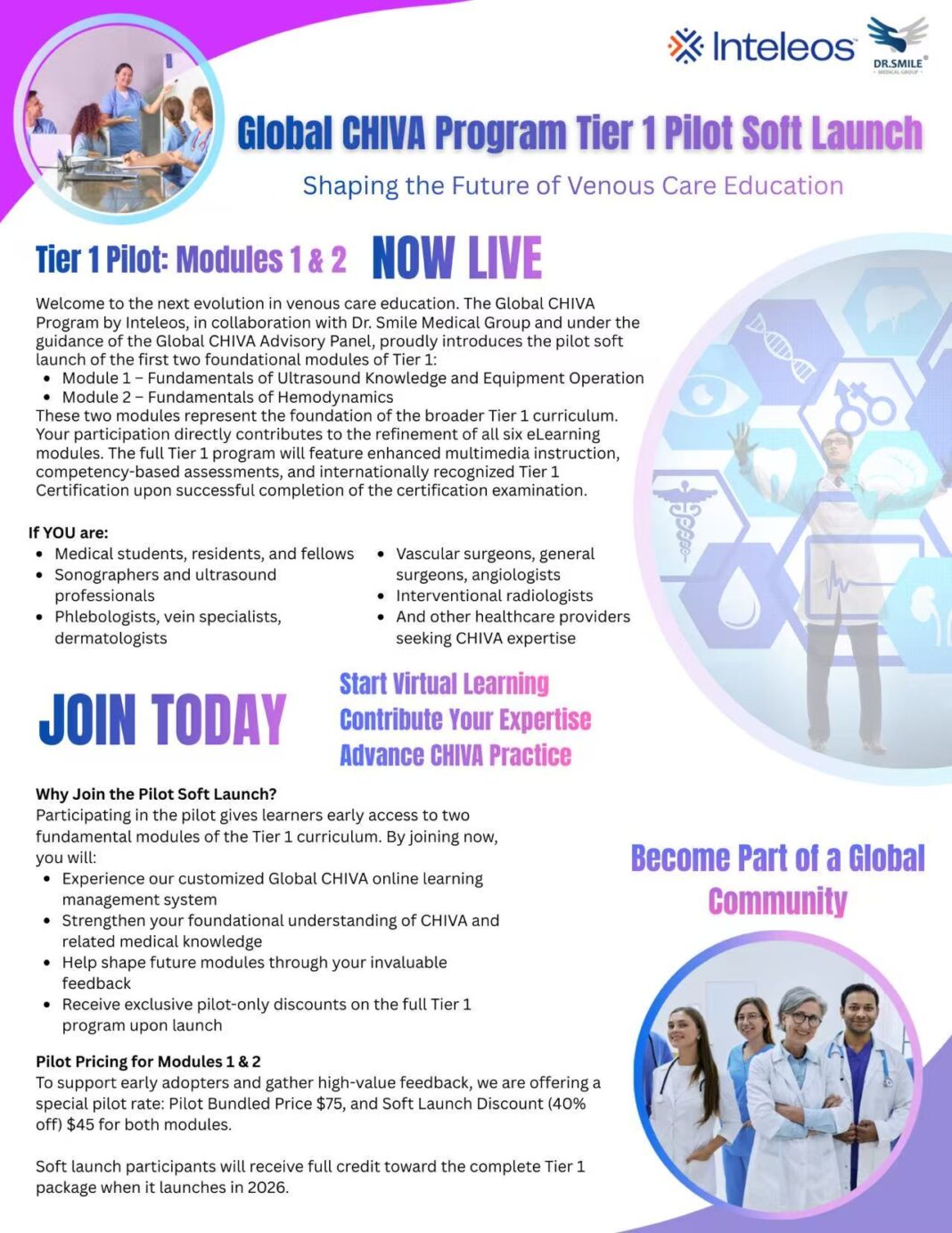 Building a Common Language for Hemodynamic Venous Care: The Global ...